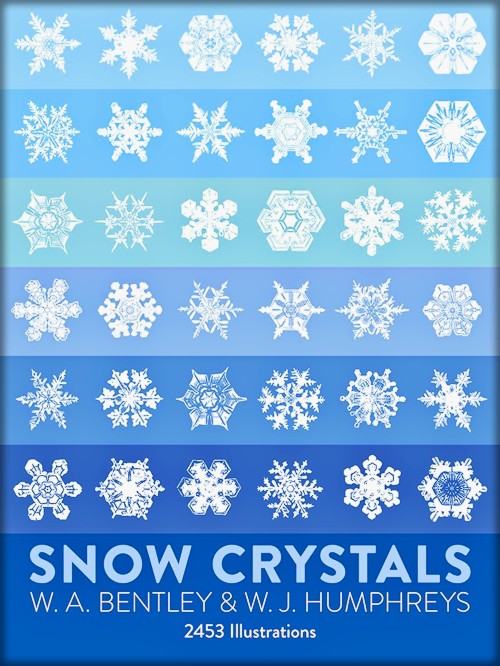 Snowflake Man Photographed Natural Wonders - Racing Nellie Bly
