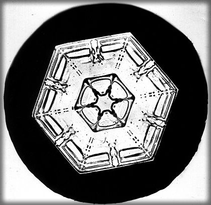 Snowflake Man Photographed Natural Wonders - Racing Nellie Bly