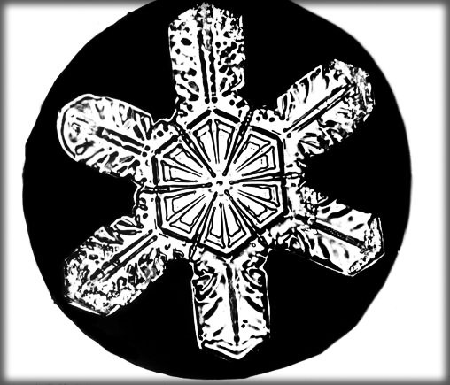 Snowflake Man Photographed Natural Wonders - Racing Nellie Bly