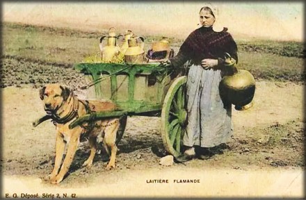 Dog-powered Carts Delivered Goods - Racing Nellie Bly